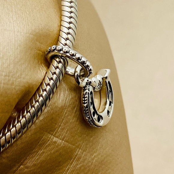 Pandora | Jewelry | Euc Pandora 79957c1 Sterling Sliver Good Luck ...